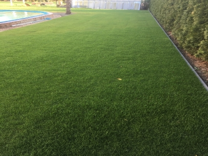 Rollrasen kaufen bei Pflanzenoase.de