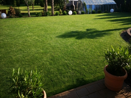 Rollrasen kaufen bei Pflanzenoase.de